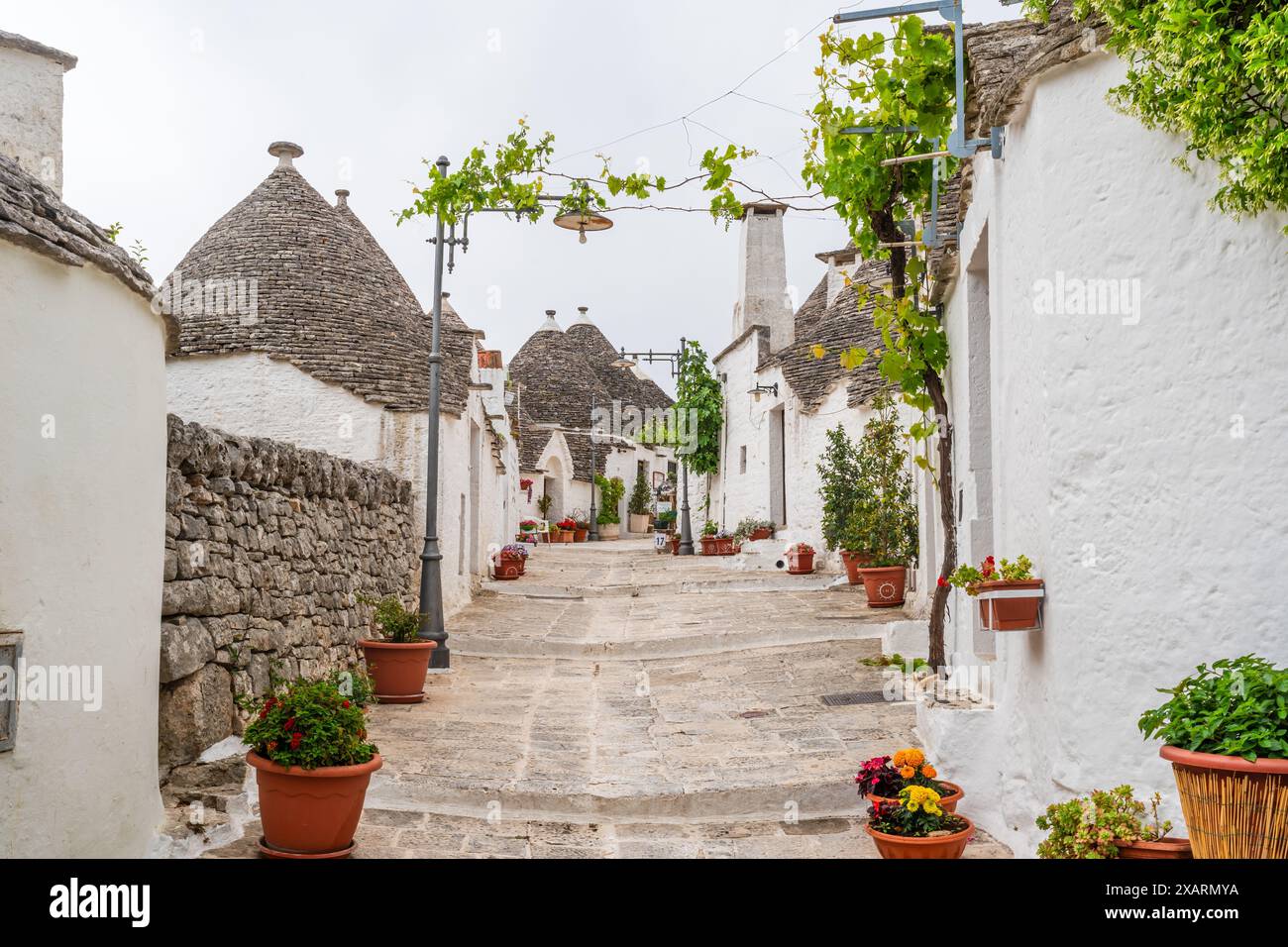 ALBEROBELLO, ITALY - MAY 16, 2024: Alberobello is famous for its old ...