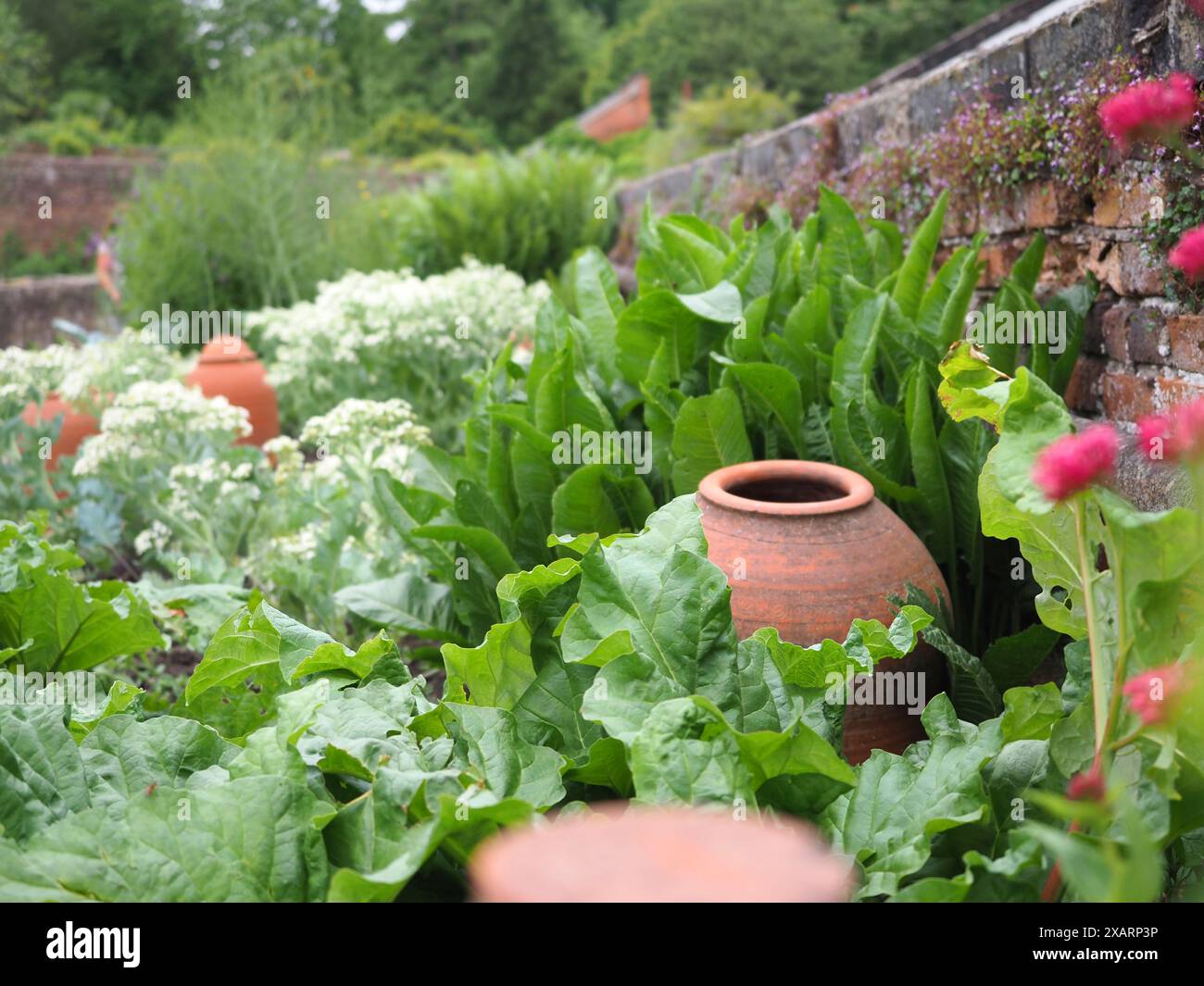 English cottage garden flower border Stock Photo - Alamy