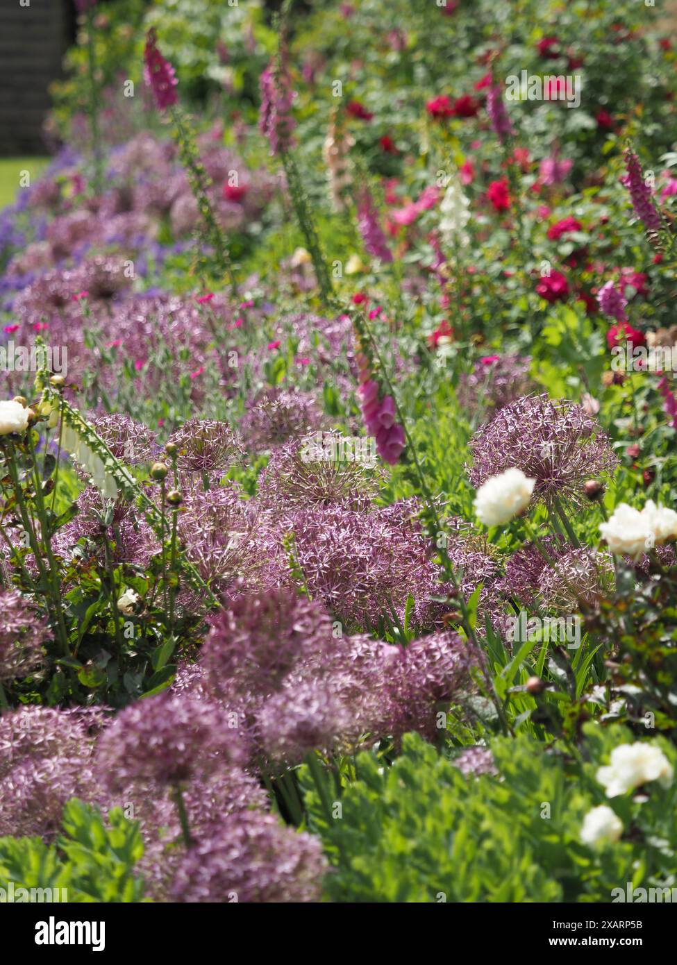 English cottage garden flower border Stock Photo - Alamy