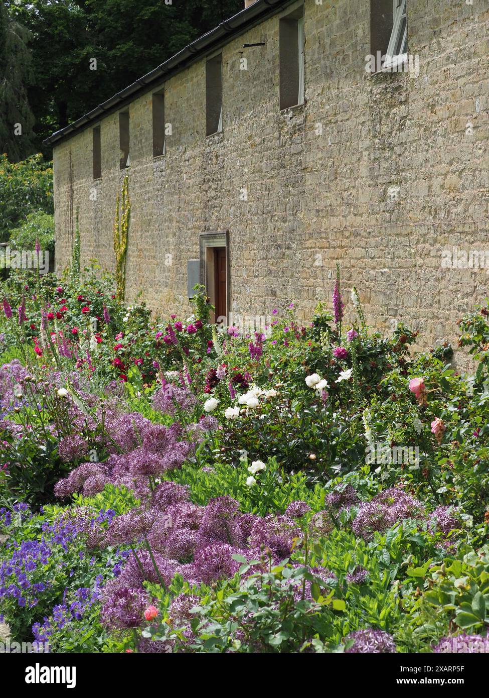 English cottage garden flower border Stock Photo - Alamy