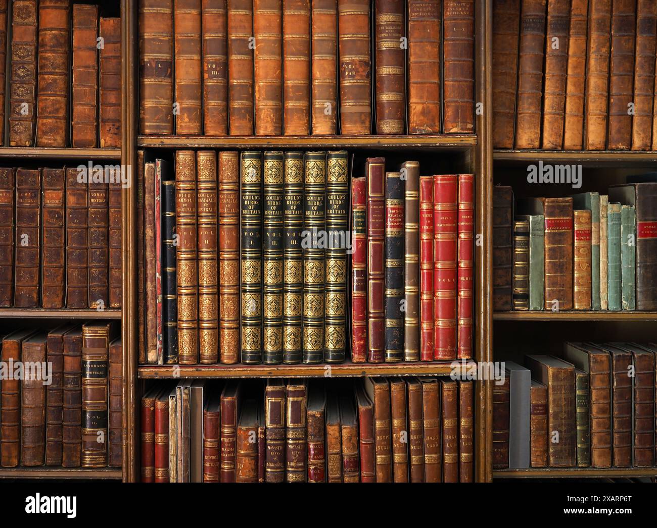 Antique books on shelves in a library Stock Photo - Alamy