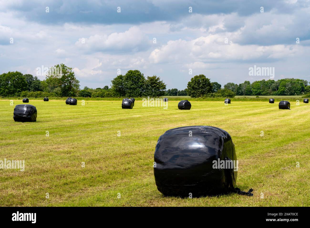 Plastic in grass hi-res stock photography and images - Alamy