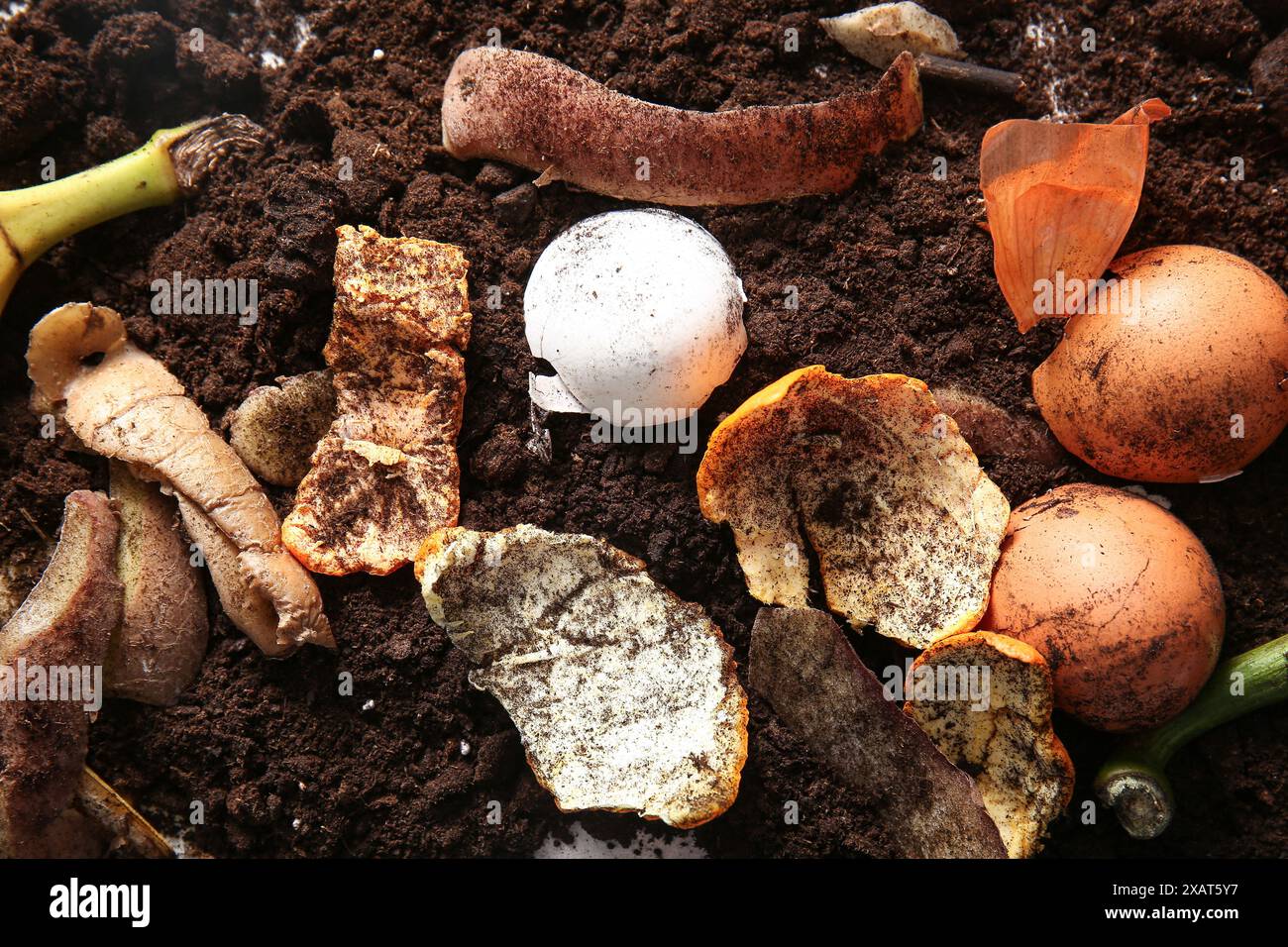 Closeup view of organic waste on soil. Compost recycling concept Stock ...