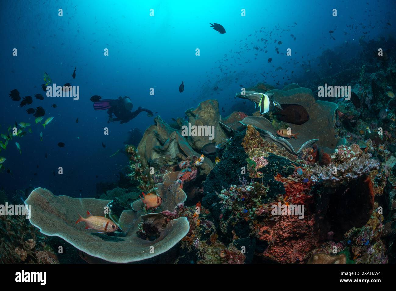 Reefscape - Bangka Island Stock Photo - Alamy