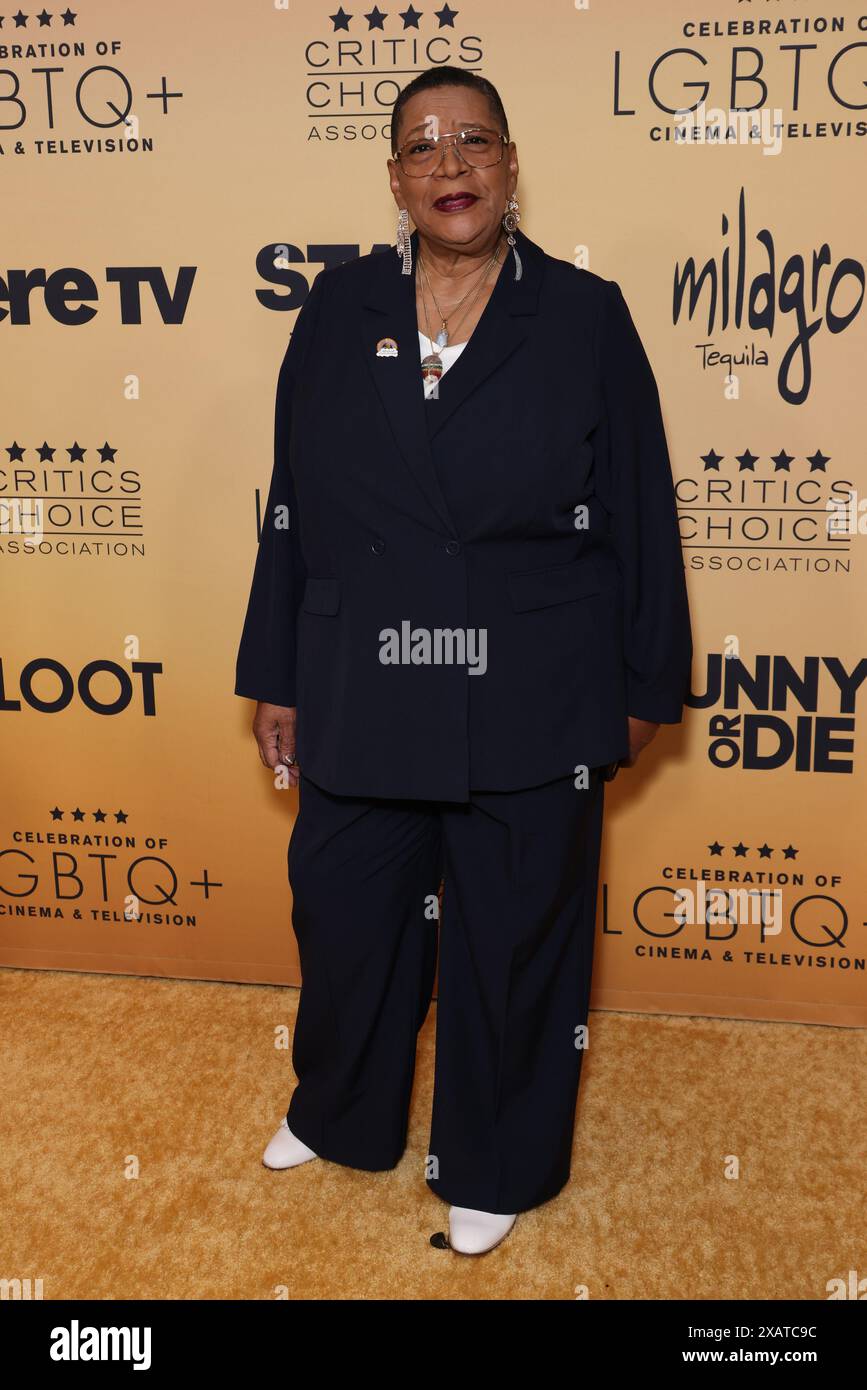 Marsha Warfield attends the Critics Choice Celebration of LGBTQ+ Cinema ...