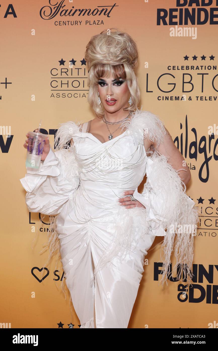 Los Angeles, USA. 07th June, 2024. Plane Jane attends the Critics ...