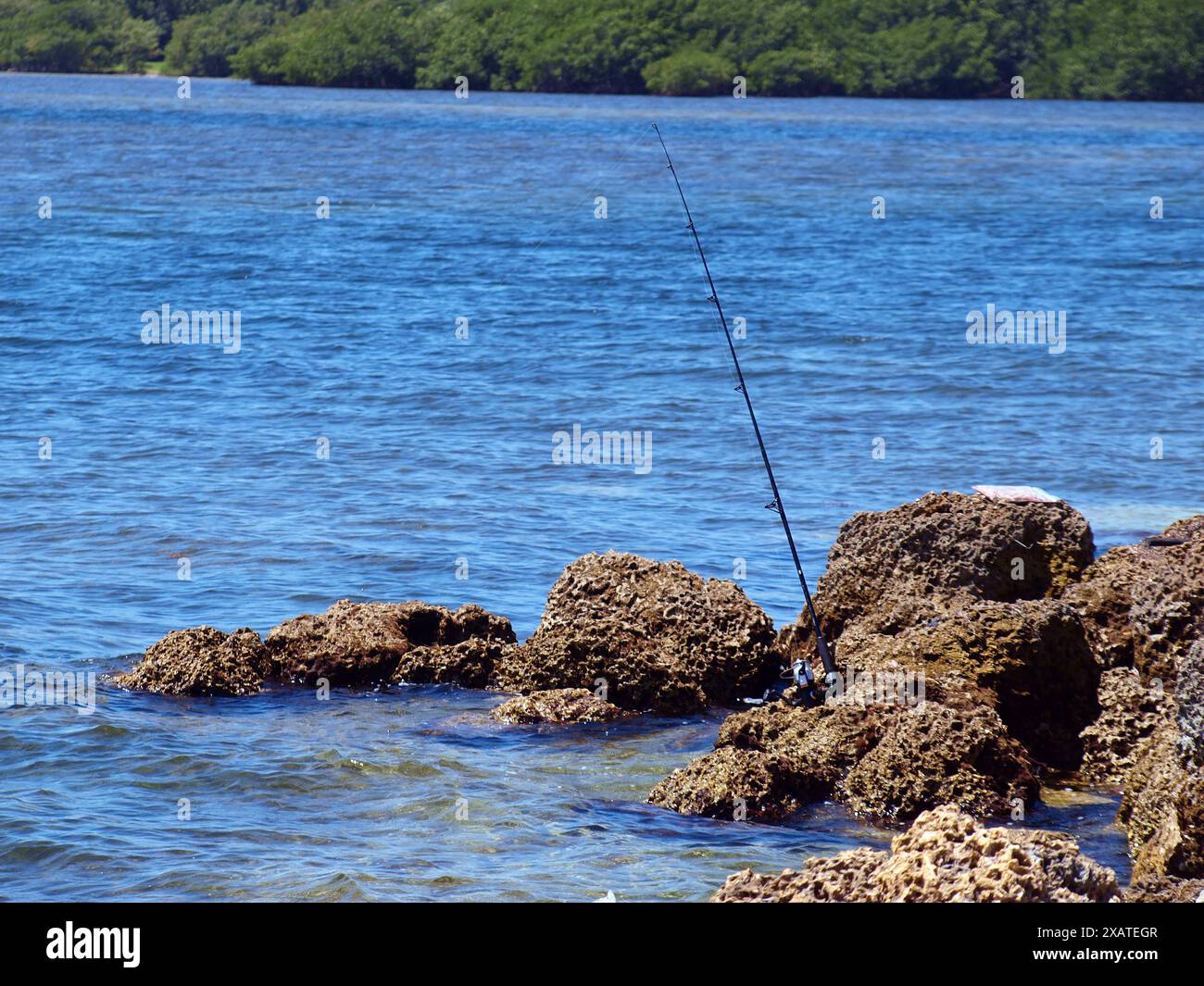 Lone fishing rod hi-res stock photography and images - Alamy