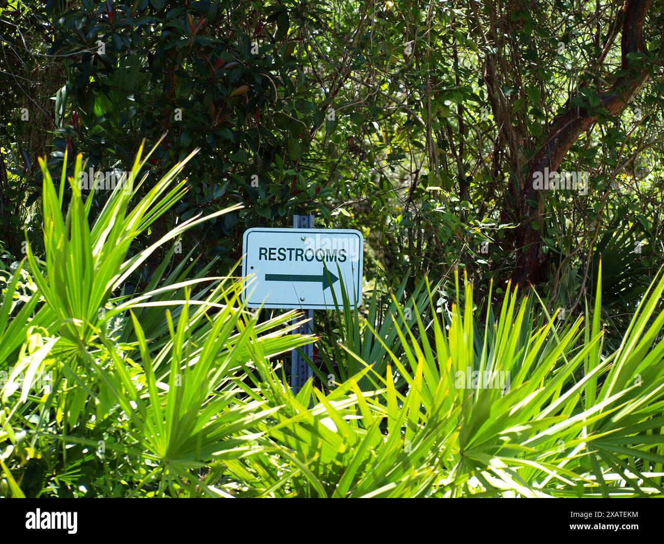 Restroom sign with direction surrounded by tropical plants Stock Photo ...