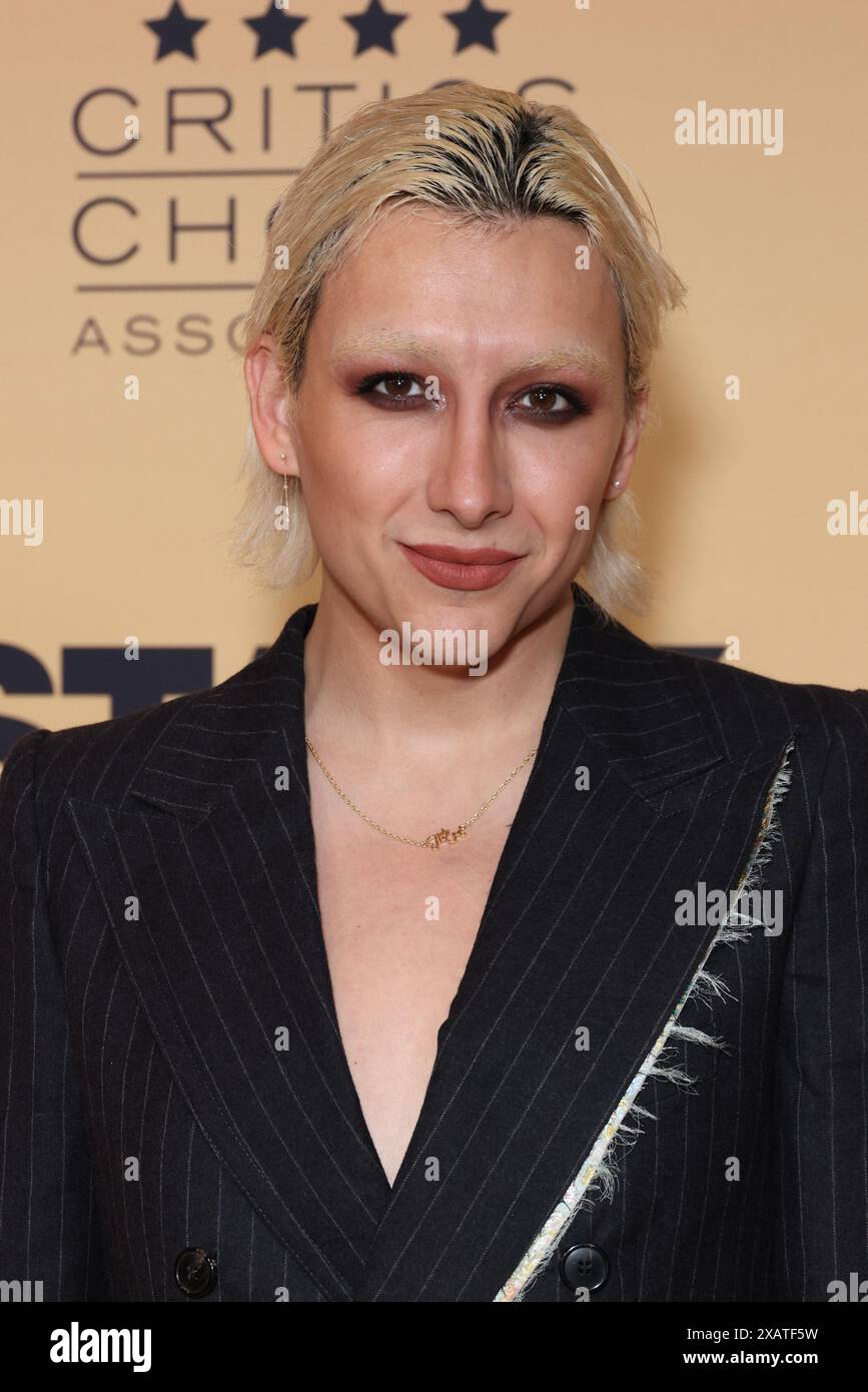 Mason Alexander Park attends the Critics Choice Celebration of LGBTQ+ ...