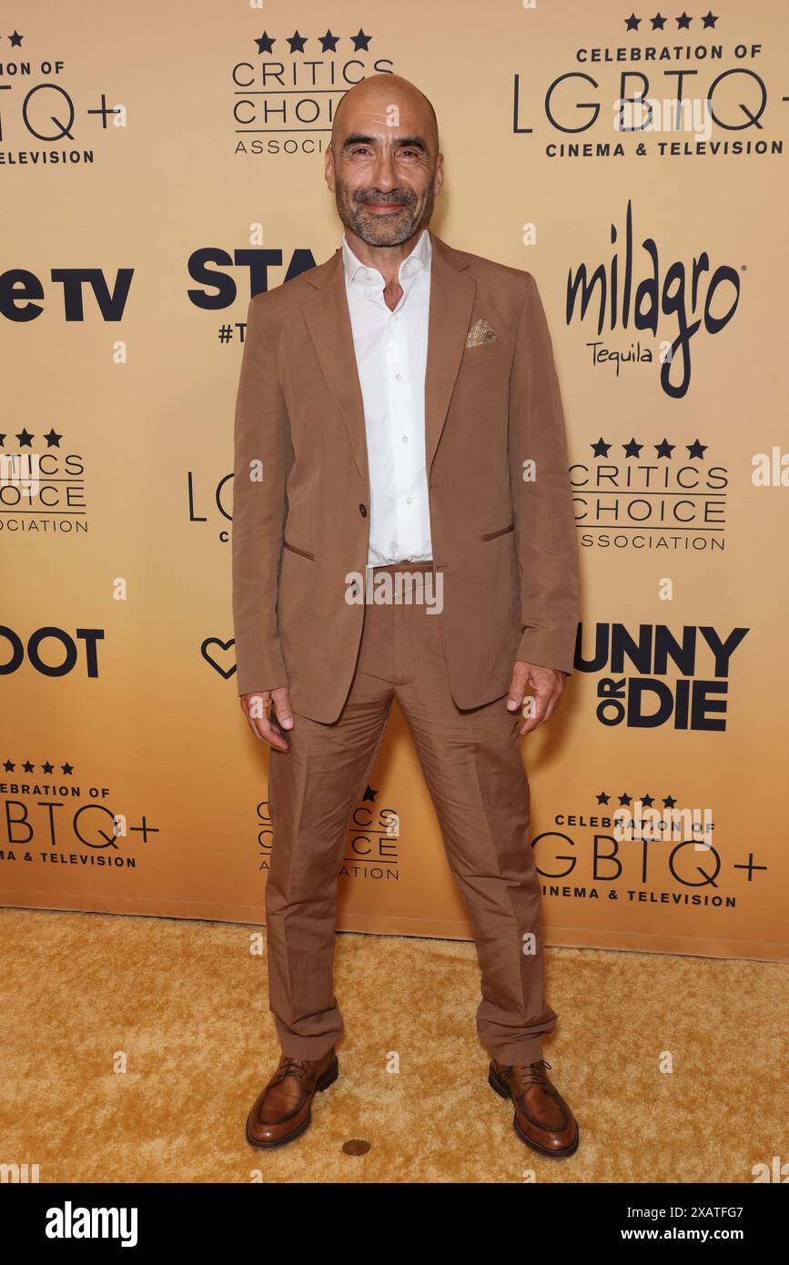 Los Angeles, USA. 07th June, 2024. Steve Warren attends the Critics ...