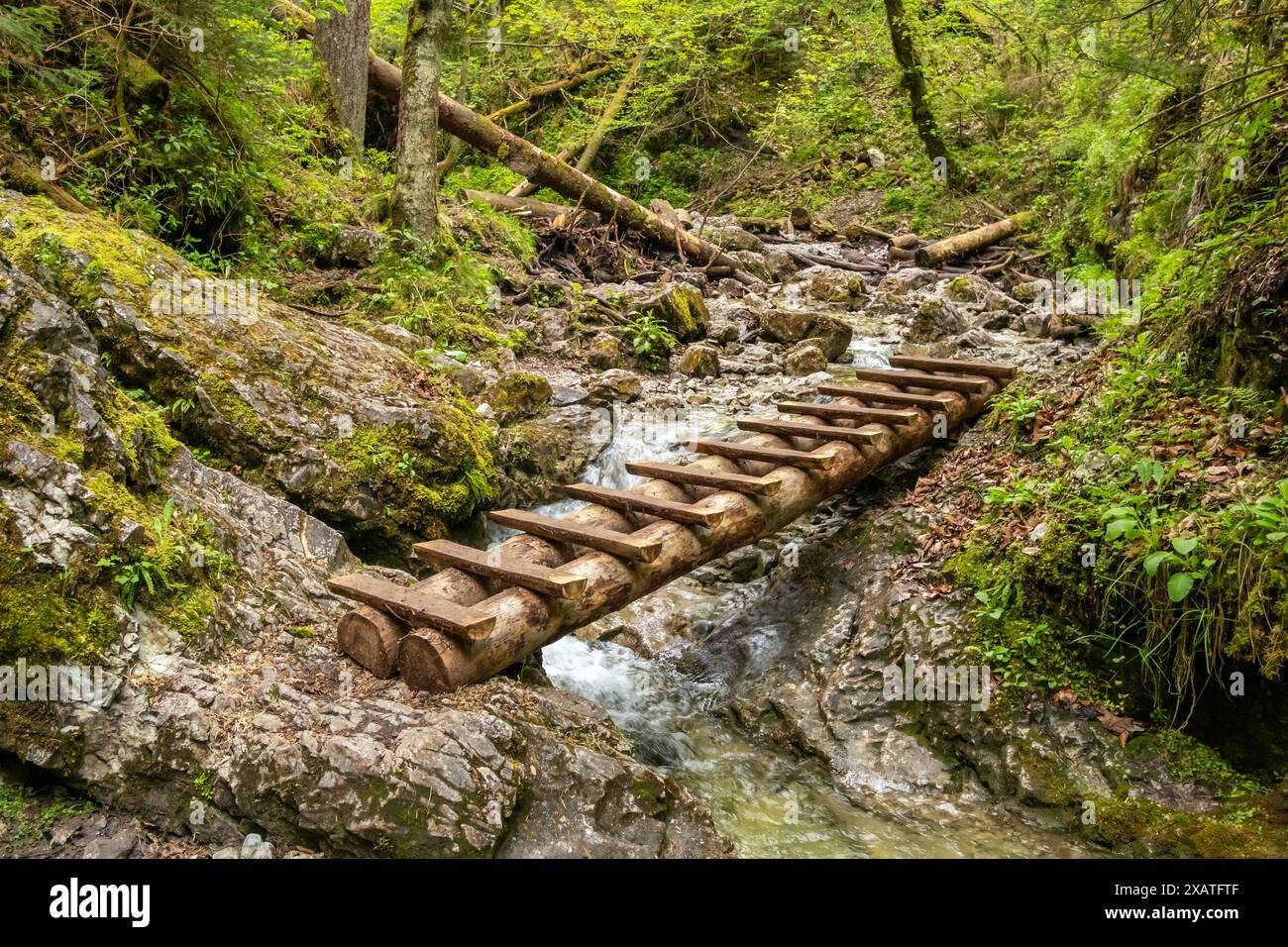 Mountain stream in slovak paradise hi-res stock photography and images ...