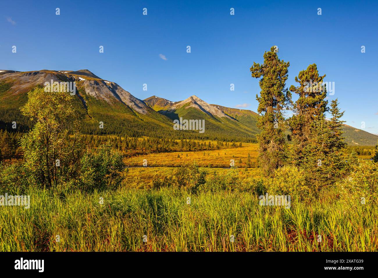 The scenic Marble Creek valley and Limestone Peak in the Cassiar region ...