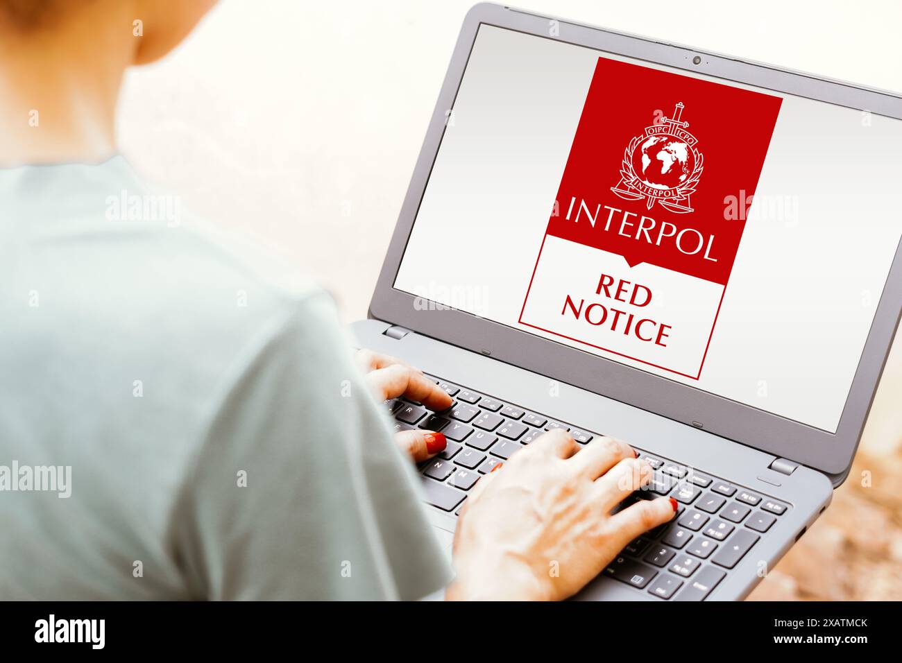 Brazil. 1st Jan, 2024. In this photo illustration, the Interpol Red ...