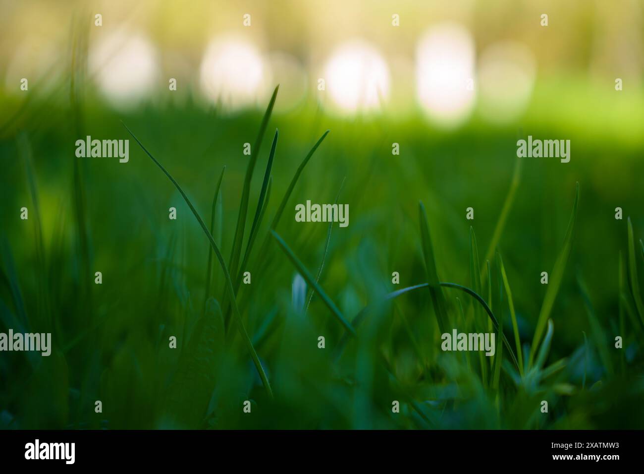 Parking management tool hi-res stock photography and images - Alamy