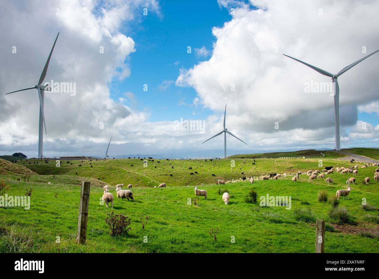 Wind farm new zealand hi-res stock photography and images - Alamy
