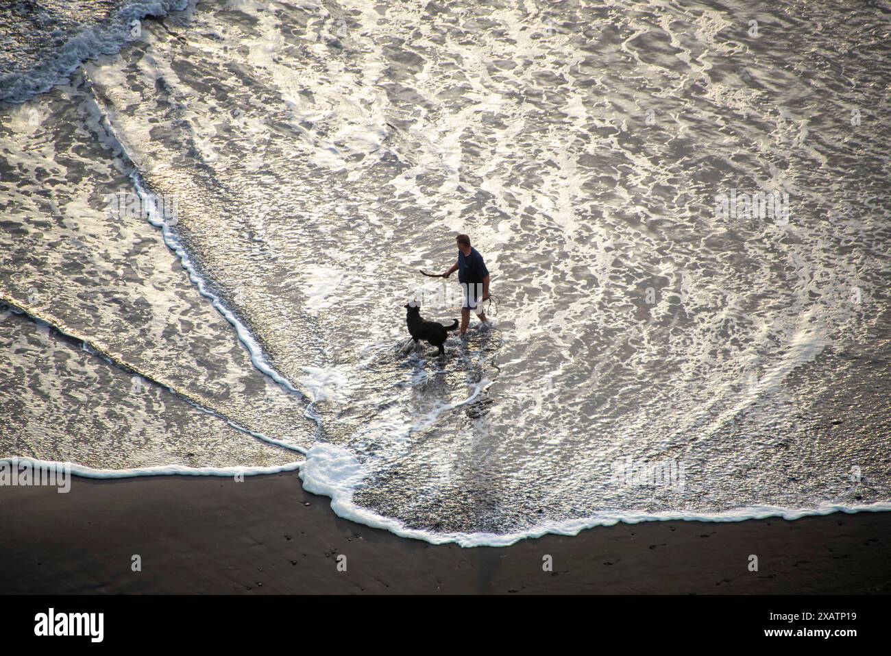 New zealand dog hi-res stock photography and images - Alamy