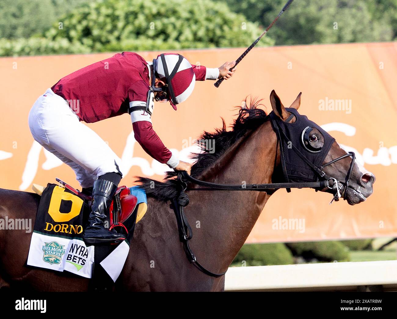 Saratoga Springs, United States. 08th June, 2024. Luis Suez celebrates ...