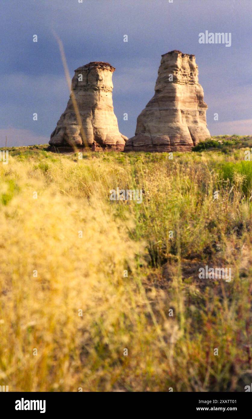 The Elephant's Feet natural rock formations in Tonalea, Arizona, U.S.A ...