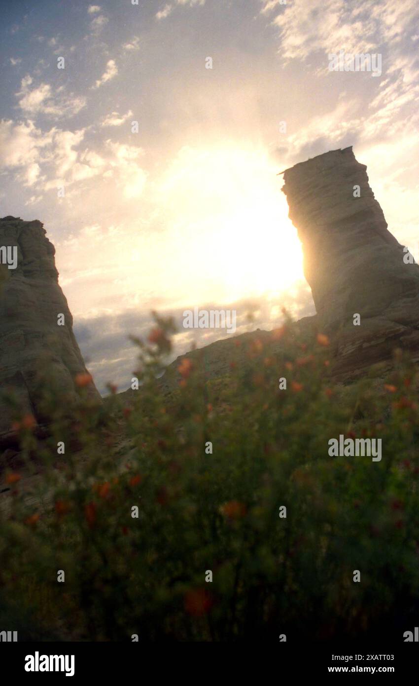 The Elephant's Feet natural rock formations in Tonalea, Arizona, U.S.A ...