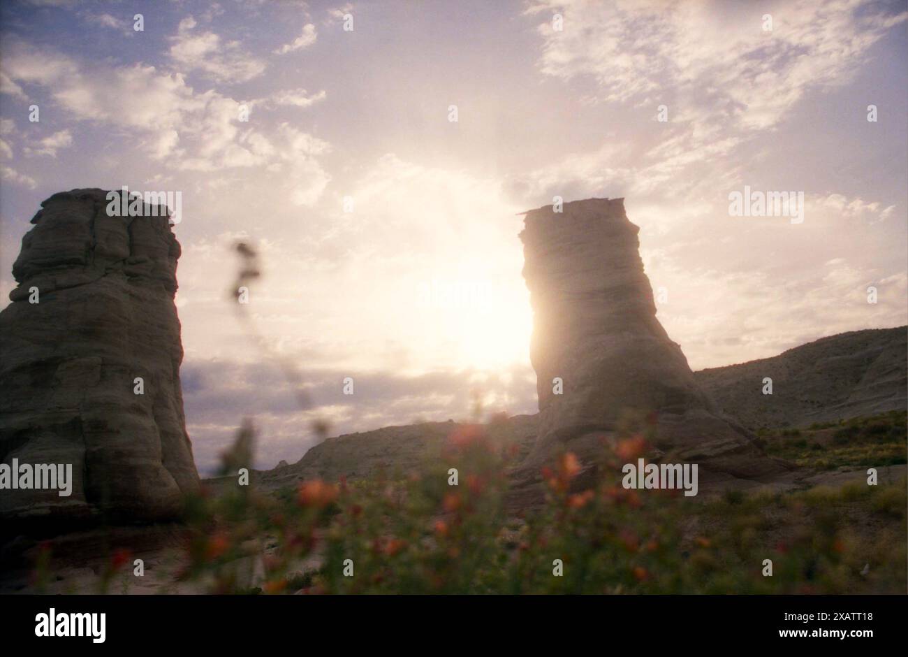 The Elephant's Feet natural rock formations in Tonalea, Arizona, U.S.A ...