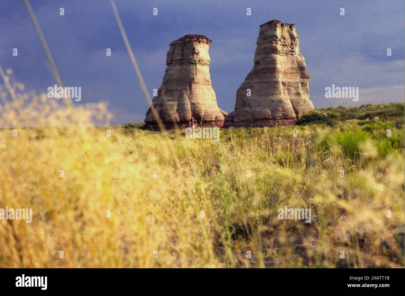 The Elephant's Feet natural rock formations in Tonalea, Arizona, U.S.A ...