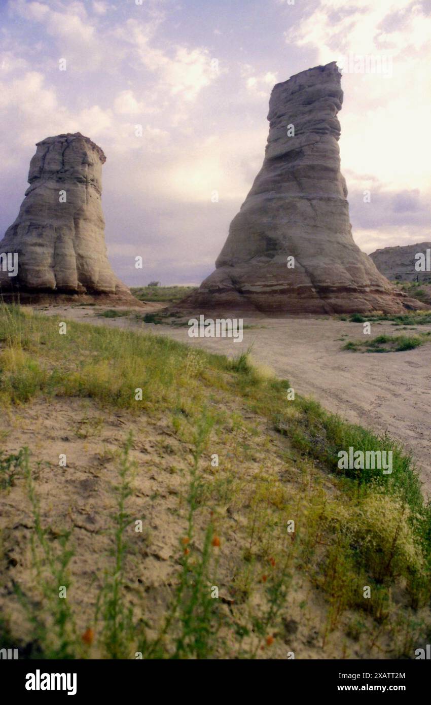 The Elephant's Feet natural rock formations in Tonalea, Arizona, U.S.A ...