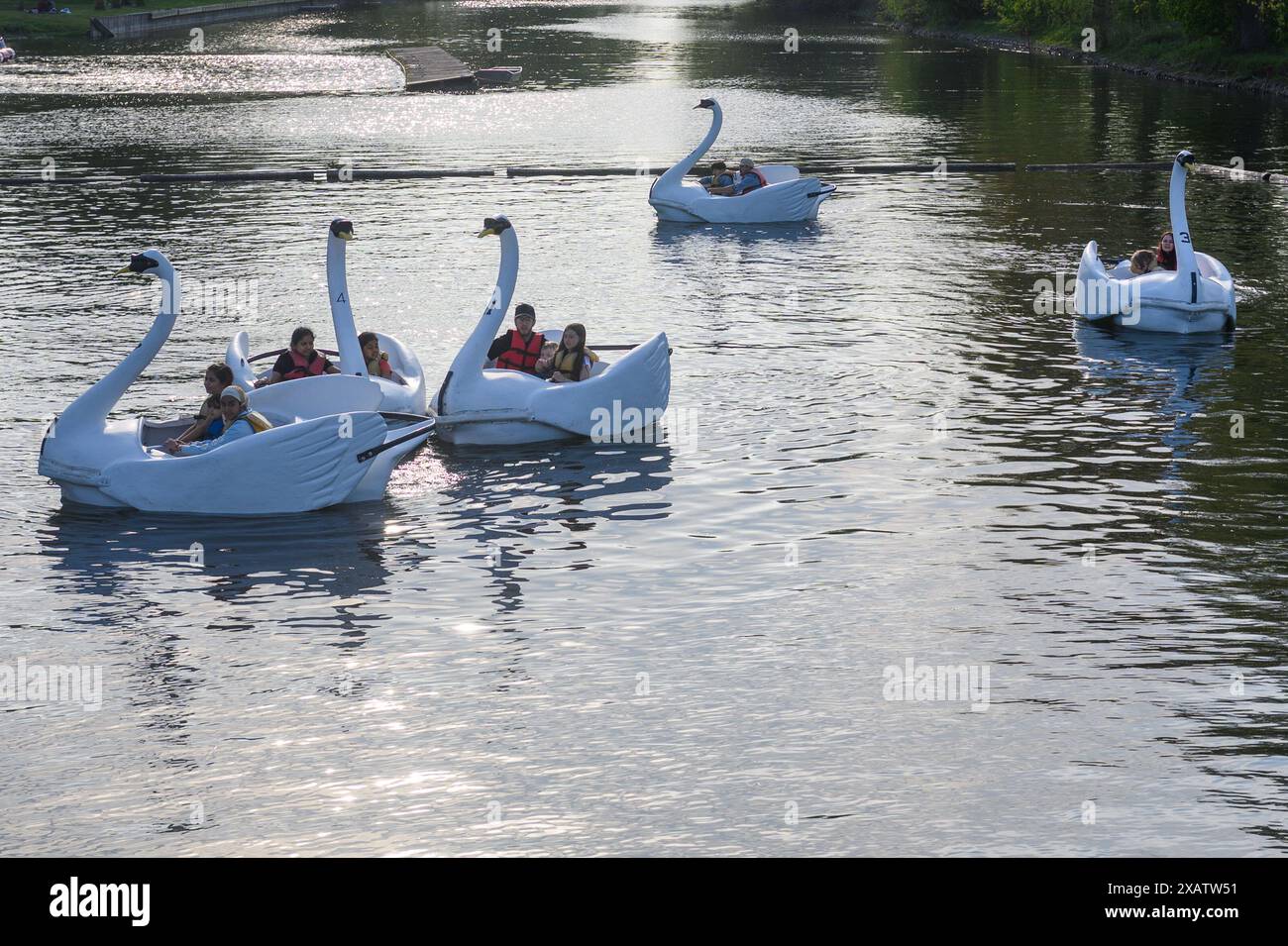 Toronto, ON, Canada - June 4, 2024: People enjoying a swan boat ride in ...