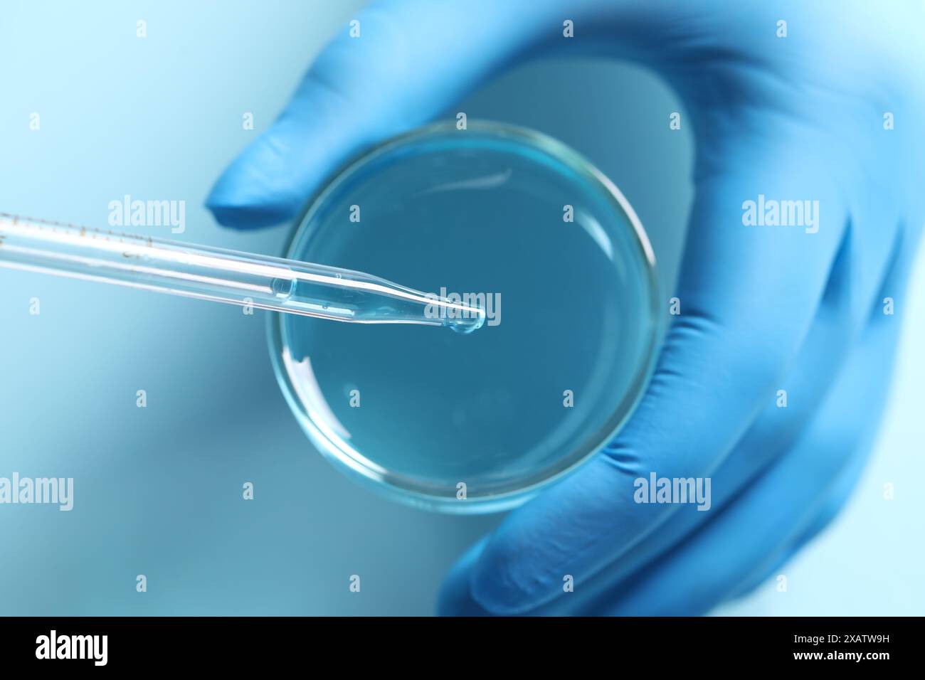 Doctor dripping liquid from pipette into petri dish at light blue table ...