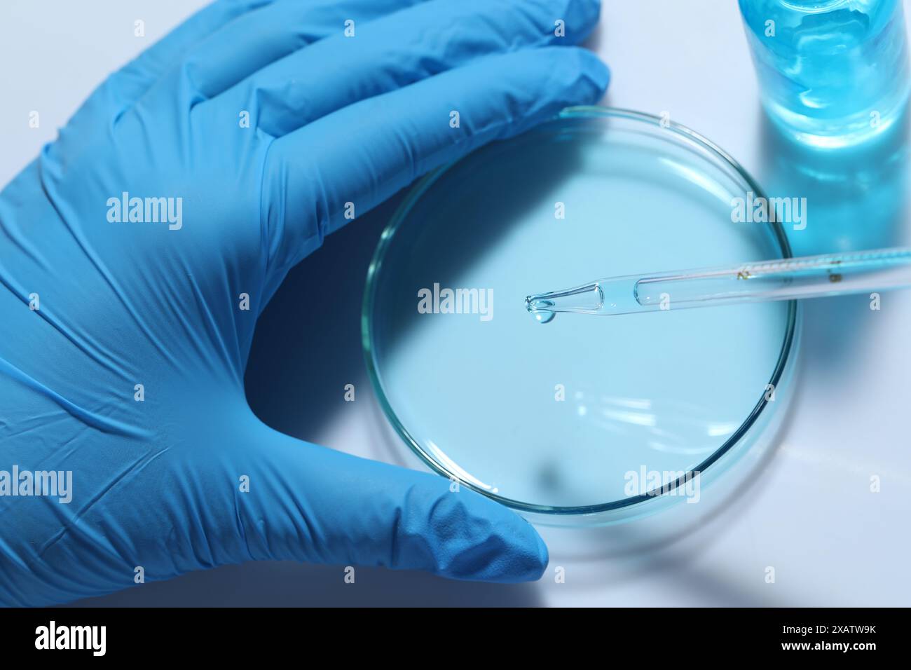 Scientist dripping liquid from pipette into petri dish at white table ...