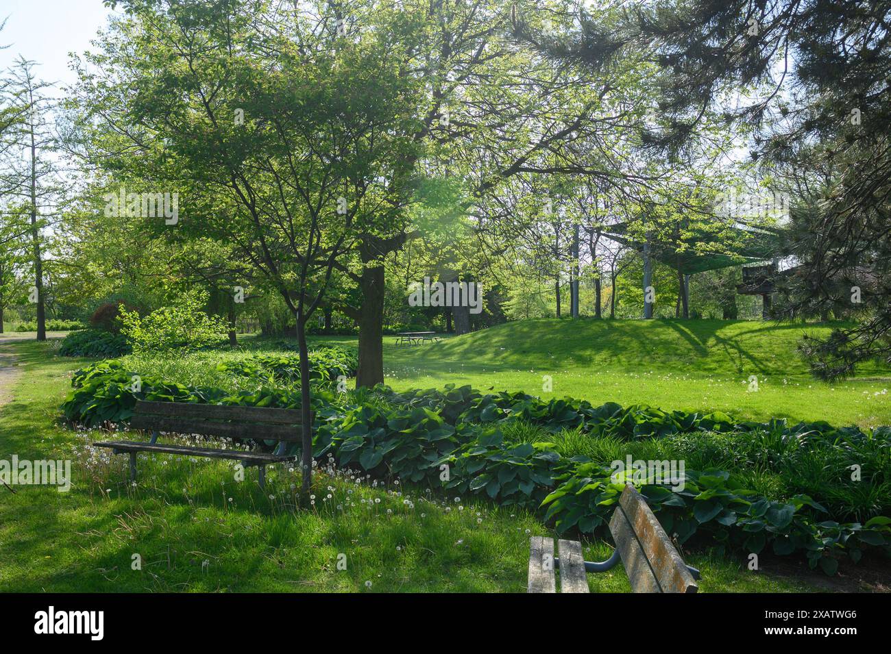 Toronto, ON, Canada - June 4, 2024: Toronto Islands park view Stock ...