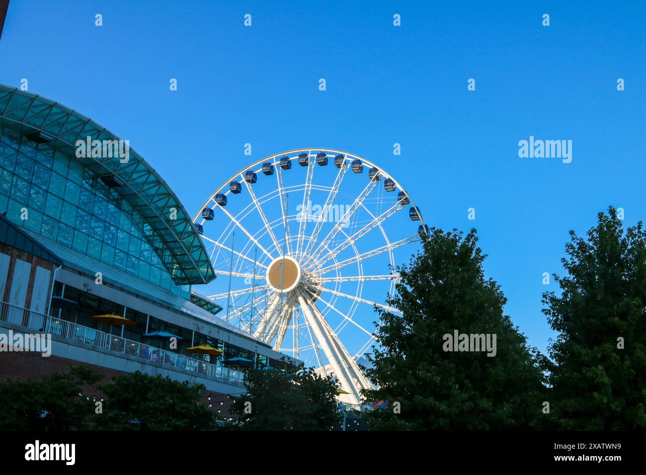 Chicago skyline vector hi-res stock photography and images - Alamy