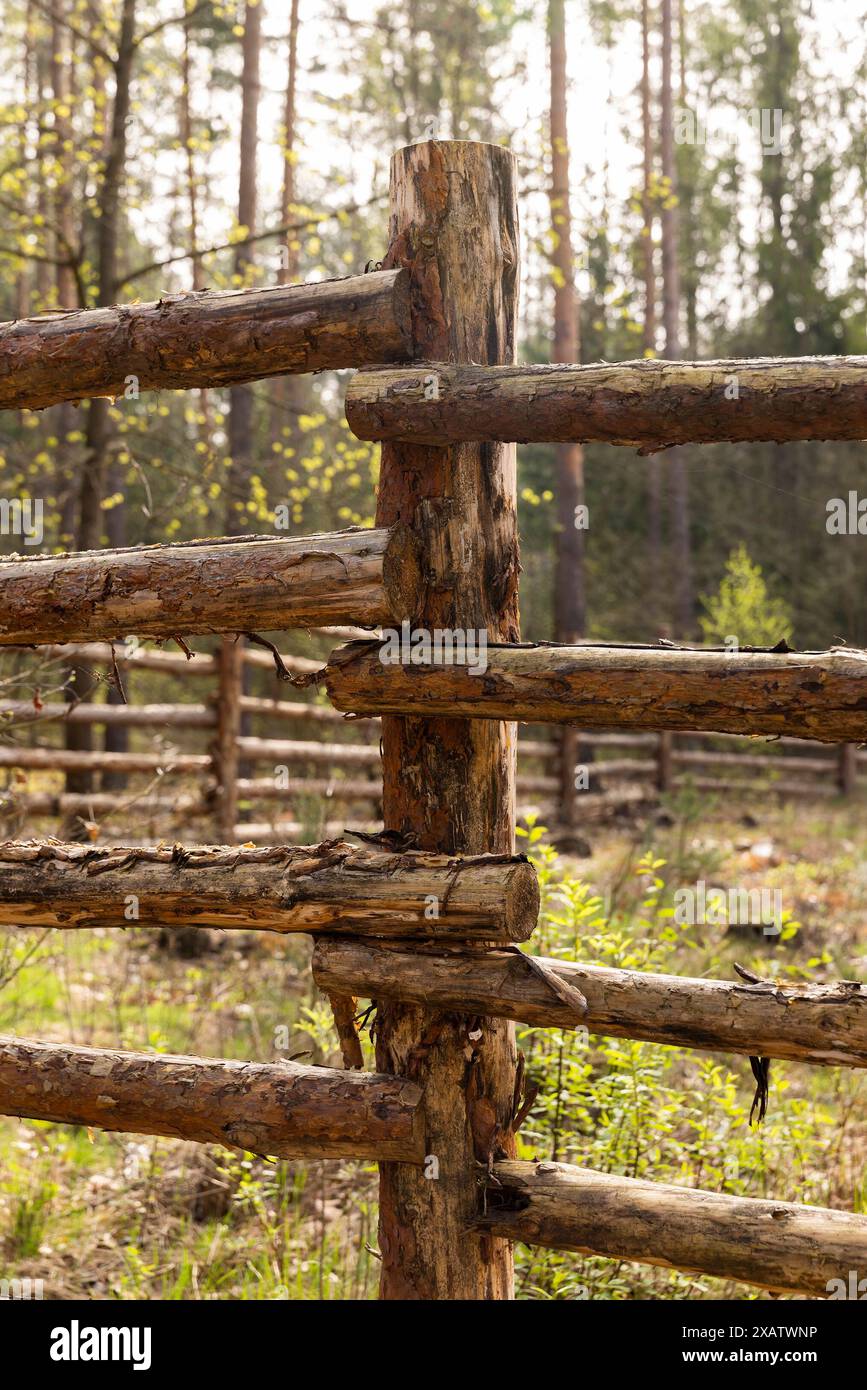 an old primitive fence in the forest from animals , a simple wooden ...
