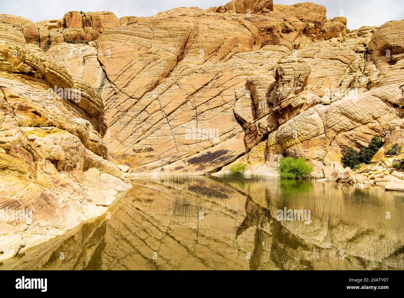 A water hole on the Calico Tanks Trail in Red Rock Canyon Conservation ...
