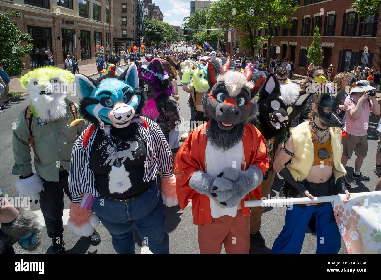 Boston, Massachusetts, USA June 8, 2024. Furries march in the Boston ...