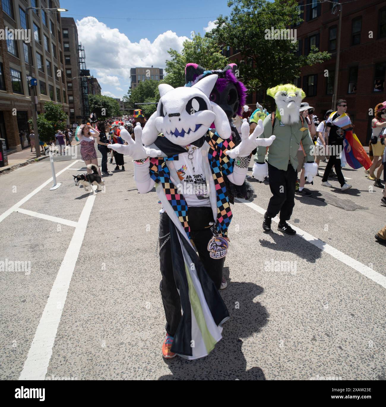 Boston, Massachusetts, USA June 8, 2024. Furries march in the Boston ...