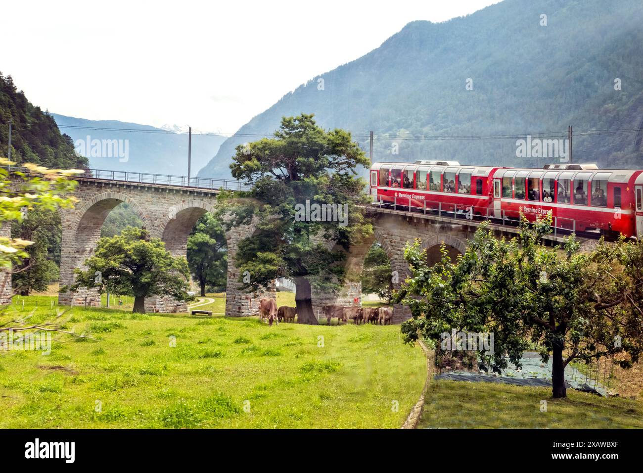 Bernina express train railway hi-res stock photography and images - Alamy