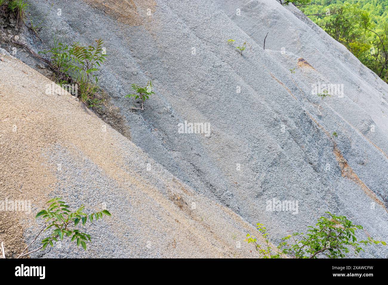 Flysch rock hi-res stock photography and images - Alamy