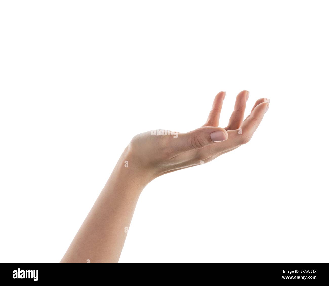 Cupped Hand Reached Out