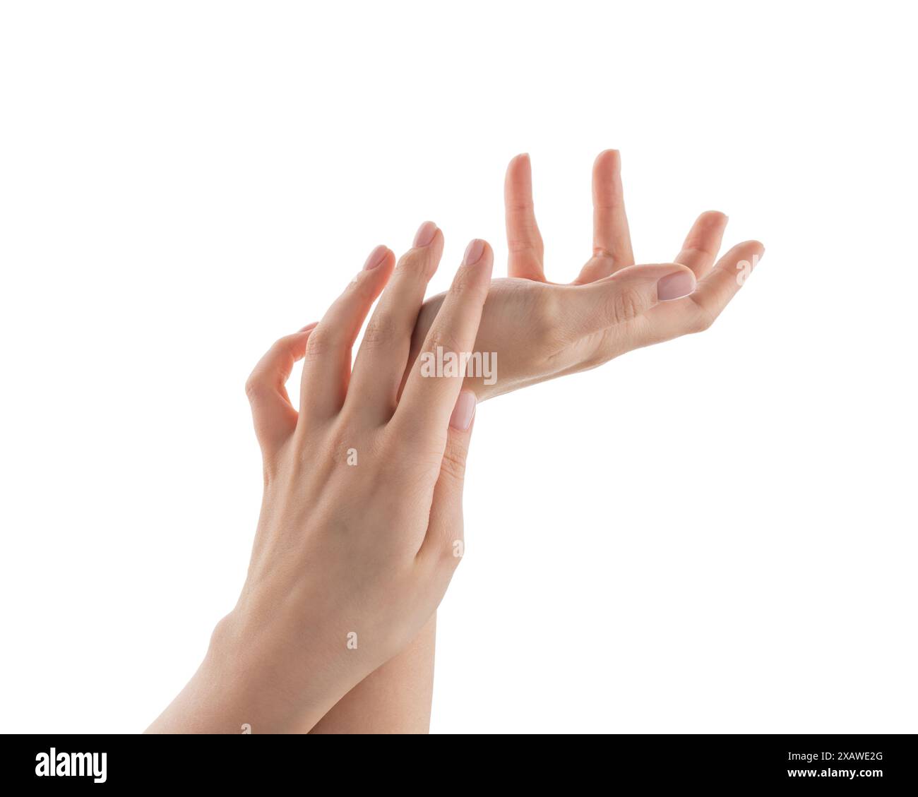 Female hands showing elegance isolated on white background Stock Photo ...