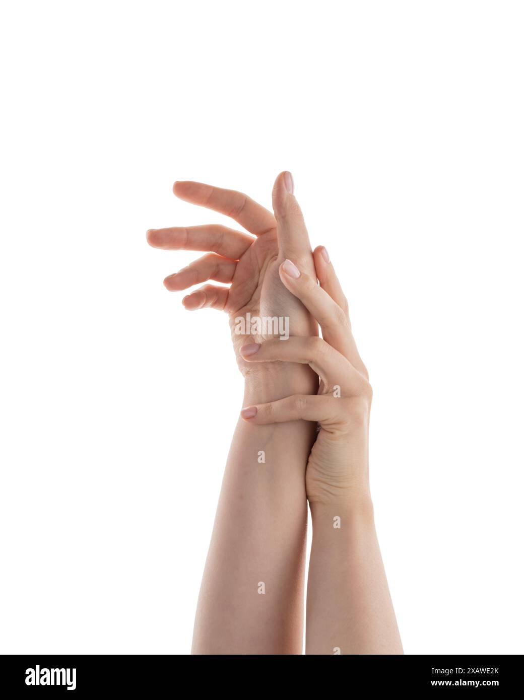 Female hands showing elegance isolated on white background Stock Photo ...