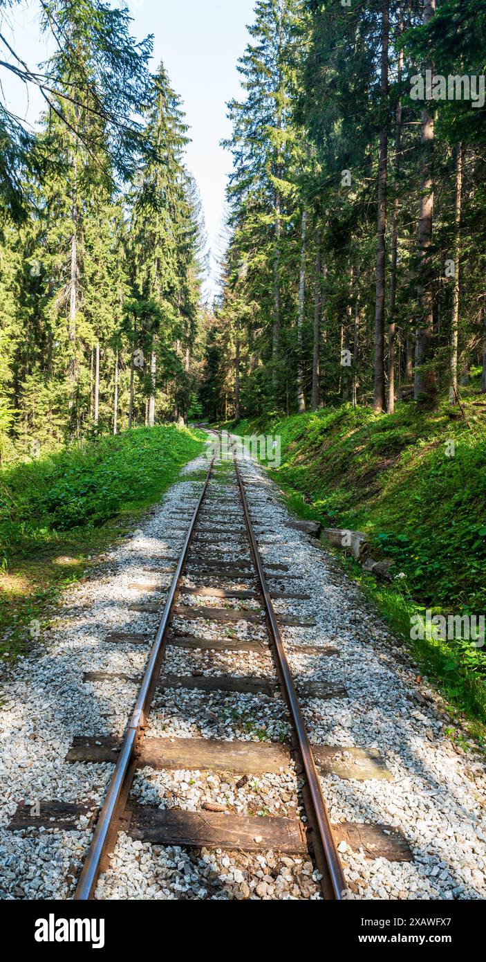 Oravska lesna zeleznica railway track above Oravska Lesna village in ...