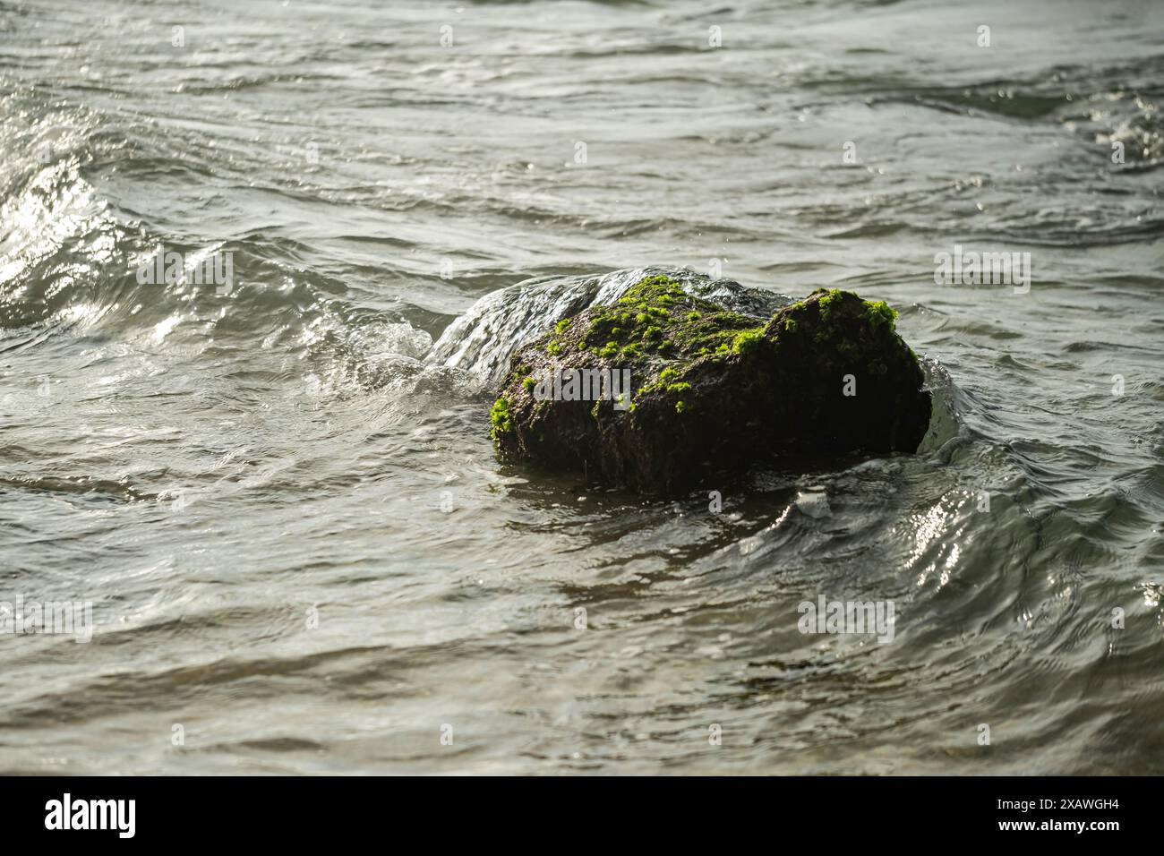 Water ripple around a rock hi-res stock photography and images - Alamy