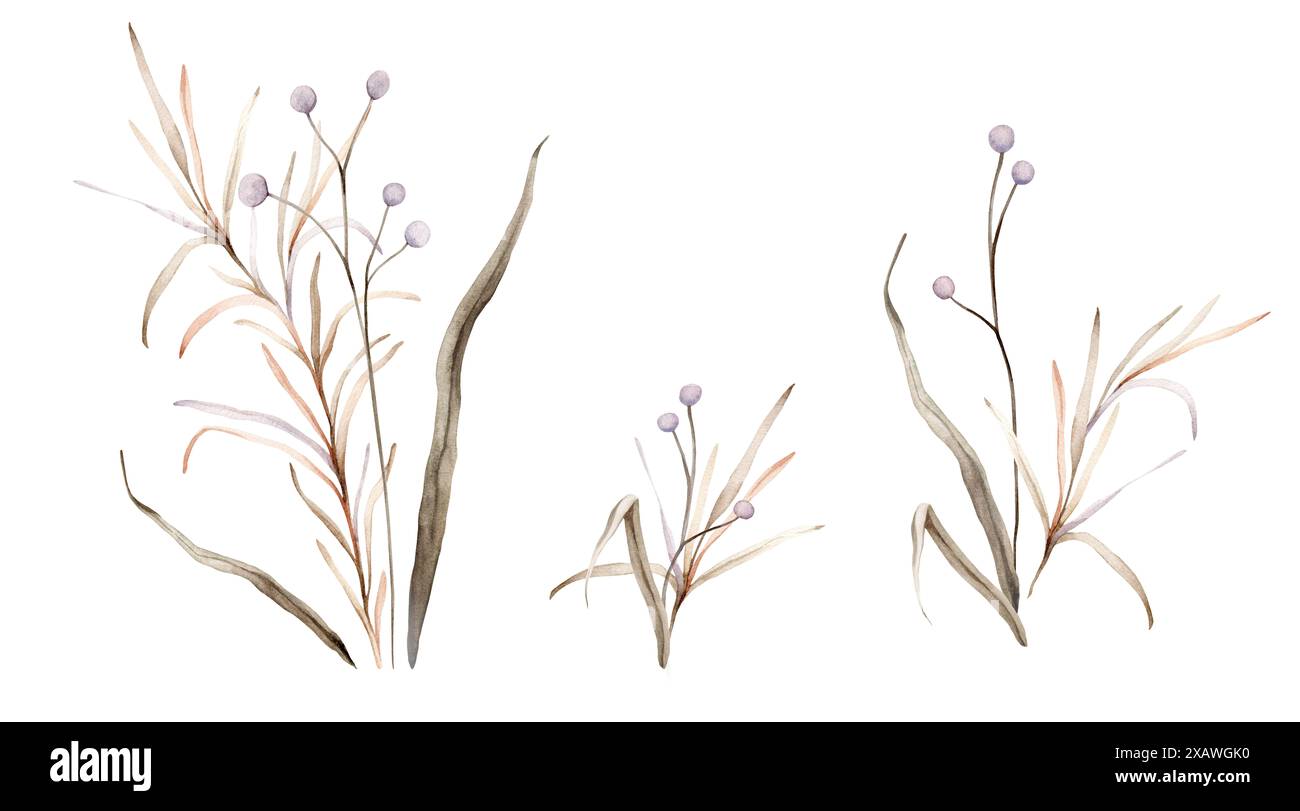 Set of watercolor fantasy botanical illustration branches and light ...