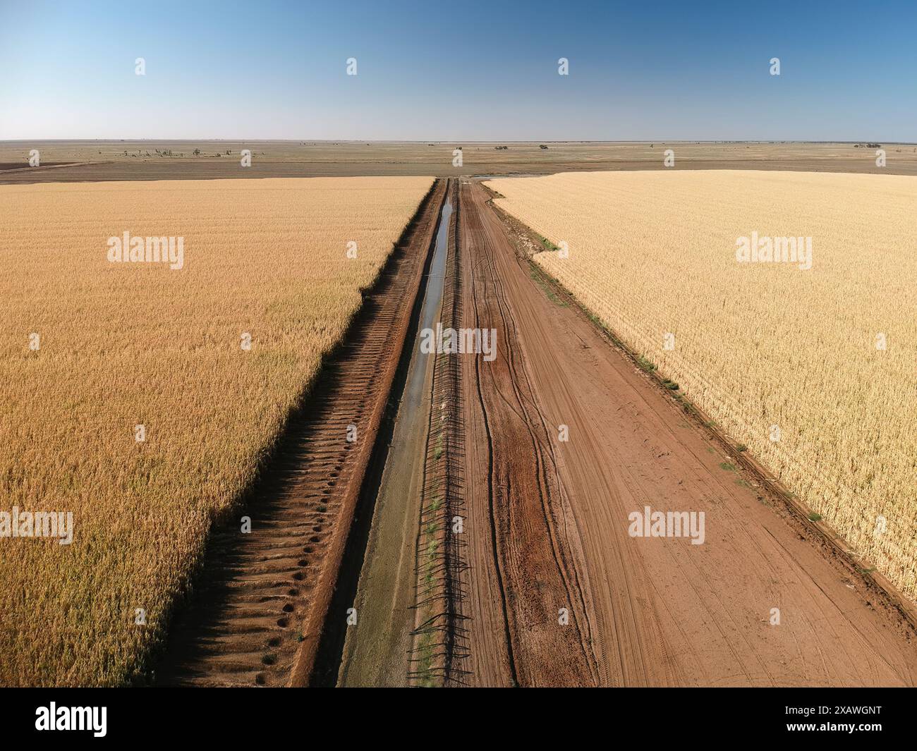 Cornfield drone footage hi-res stock photography and images - Alamy