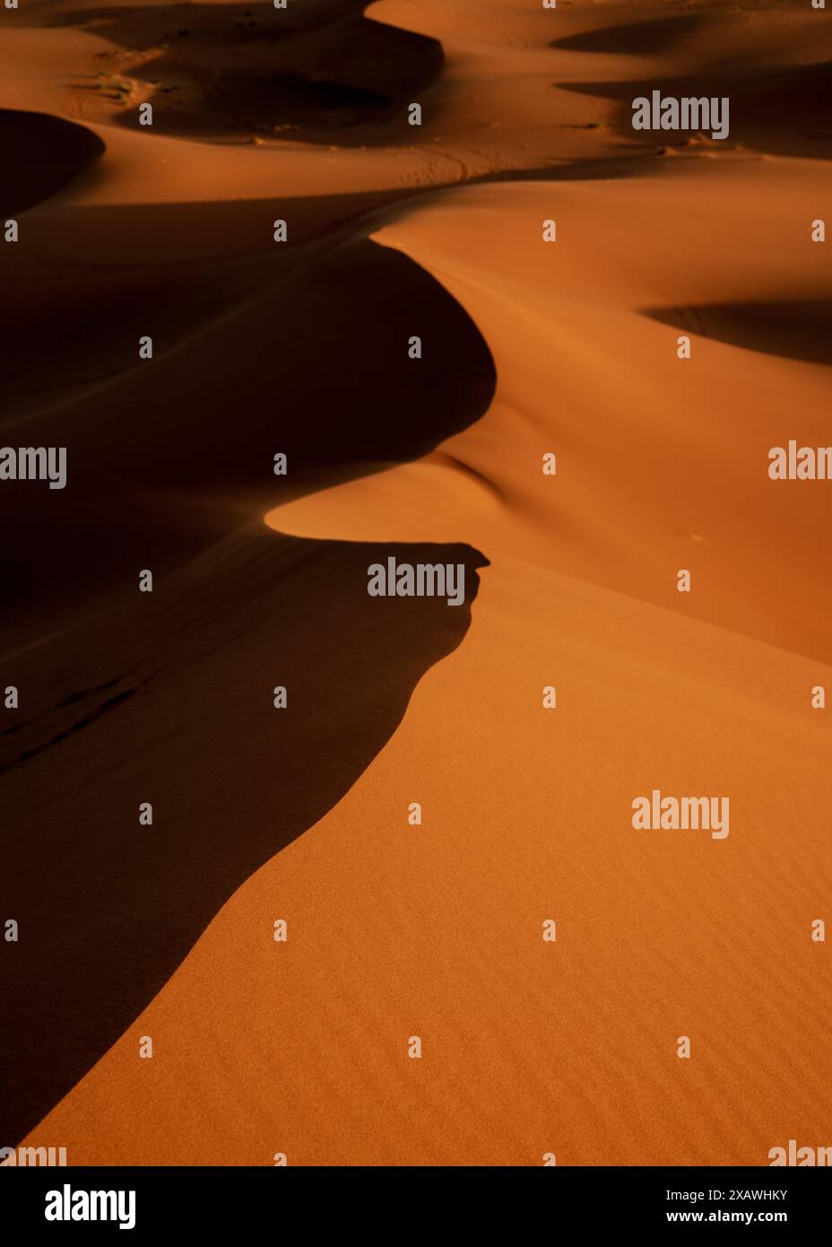 A vertical view of sand dunes with gentle curves and interplay of light ...