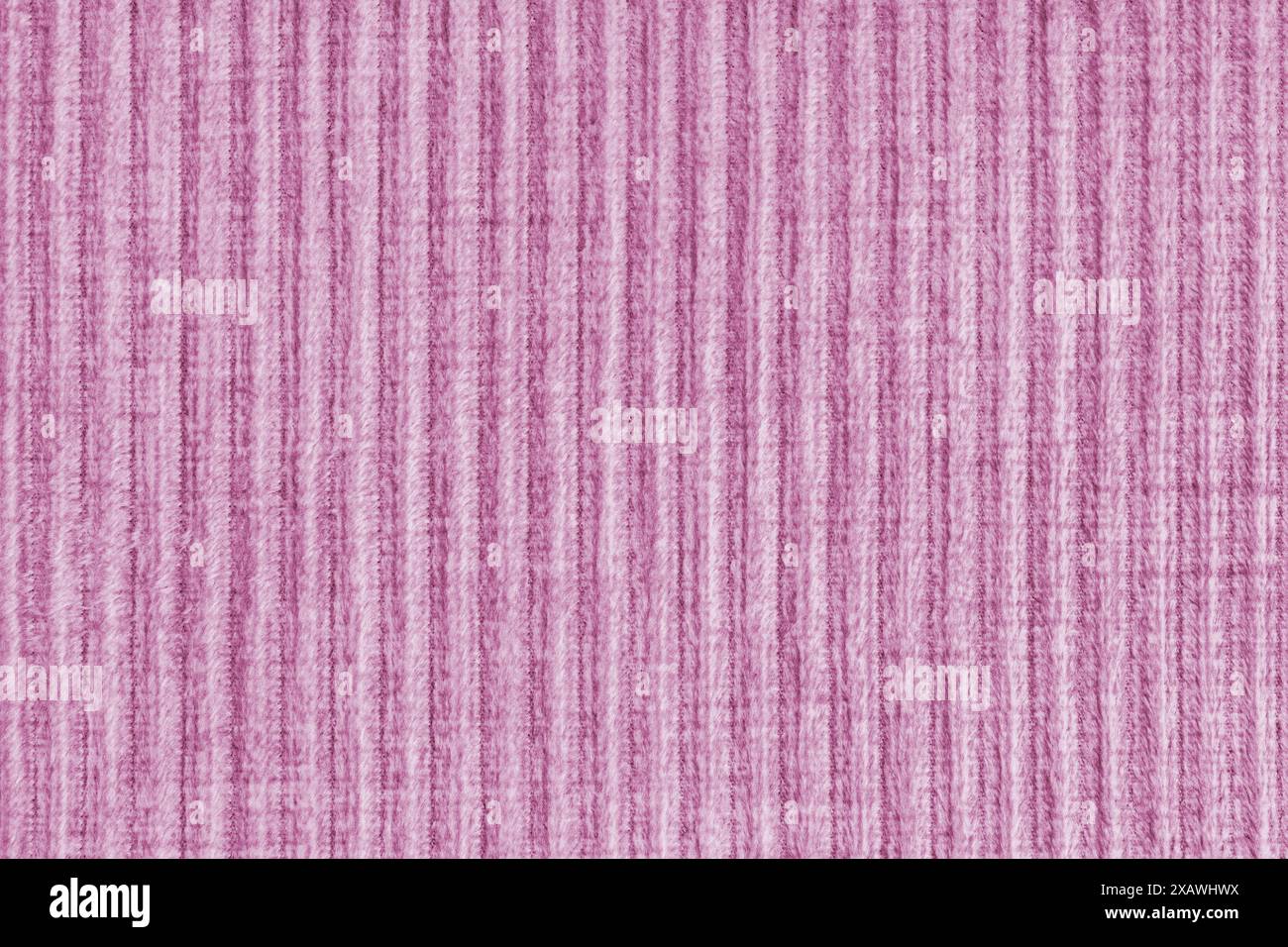 Ridge texture background of velour corduroy pink cloth. Large ribbed ...