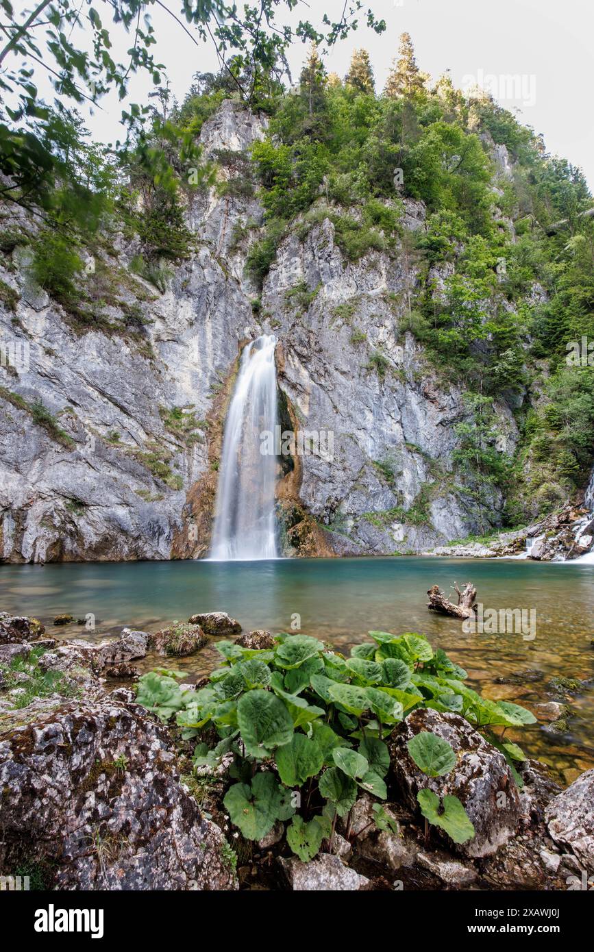 St. Martin Am Grimming, Austria. 20th May, 2024. The Salza waterfall ...