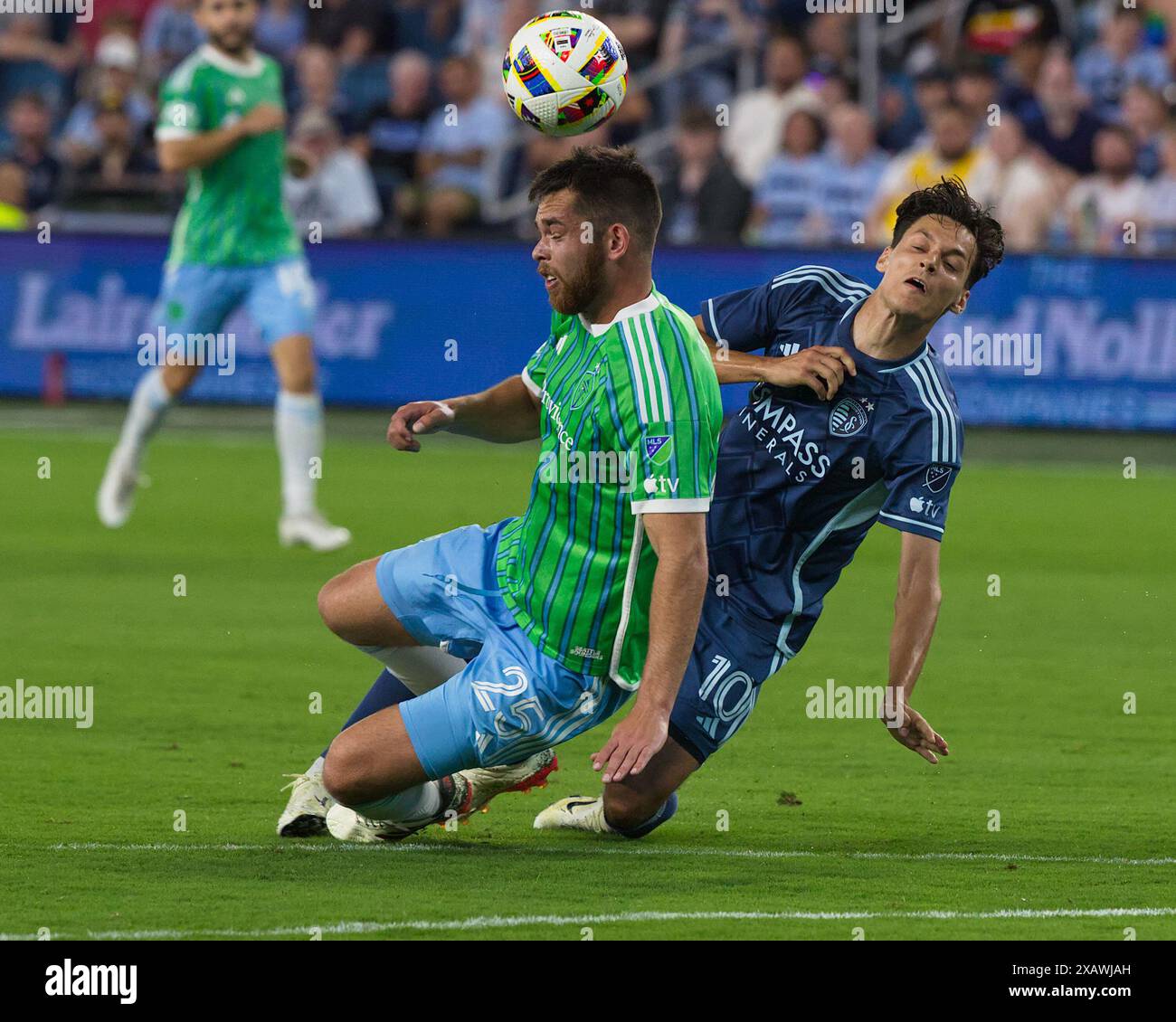 Jacksonragen hi-res stock photography and images - Alamy