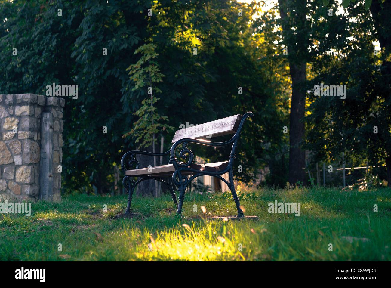 Park bench and trees hi-res stock photography and images - Alamy