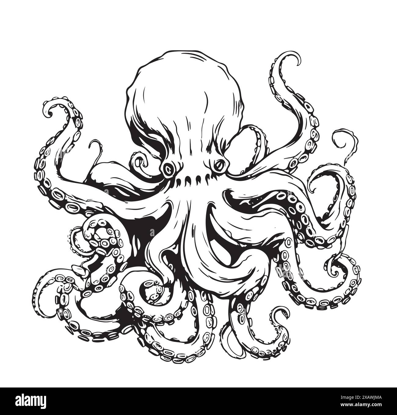 Octopus hand drawing vintage engraving illustration on white background ...